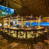 The Money Bar Beach Club – Premier Snorkeling, Dining & Sunset Views in ...